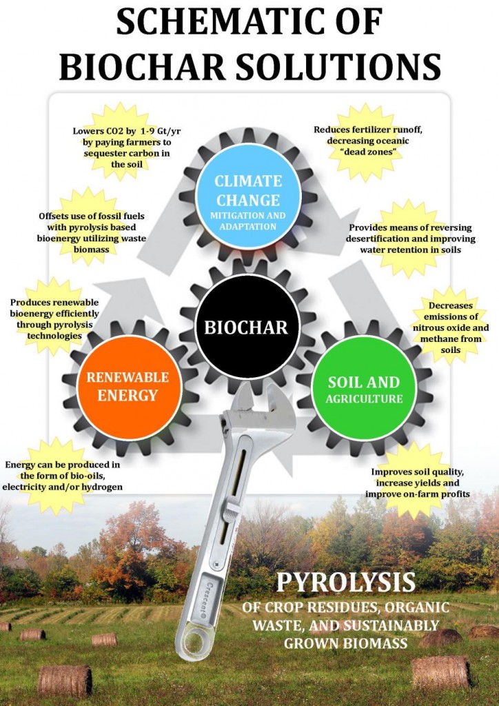 Why Biochar? – Zero Waste Vashon Why Biochar? – Zero Waste Vashon